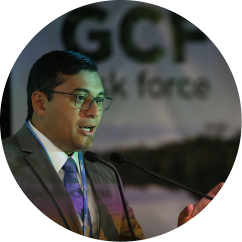 GCF Task Force | Governors' Climate & Forests Task Force