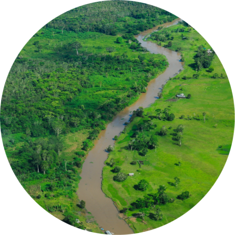 GCF Task Force | Governors' Climate & Forests Task Force