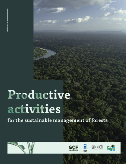 Productive activities for the sustainable management of forests | GCF ...