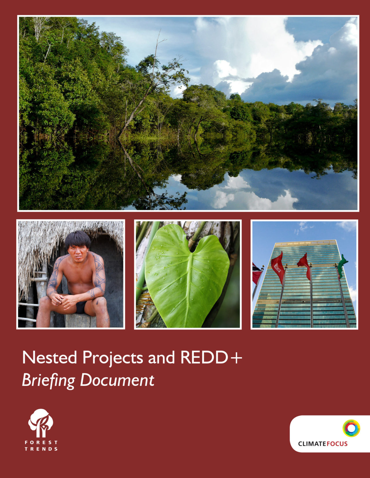 Nested Projects and REDD+ | GCF Task Force