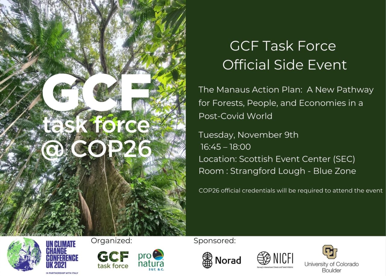 GCF Task Force Official Side Event at COP26 - GCF Task Force